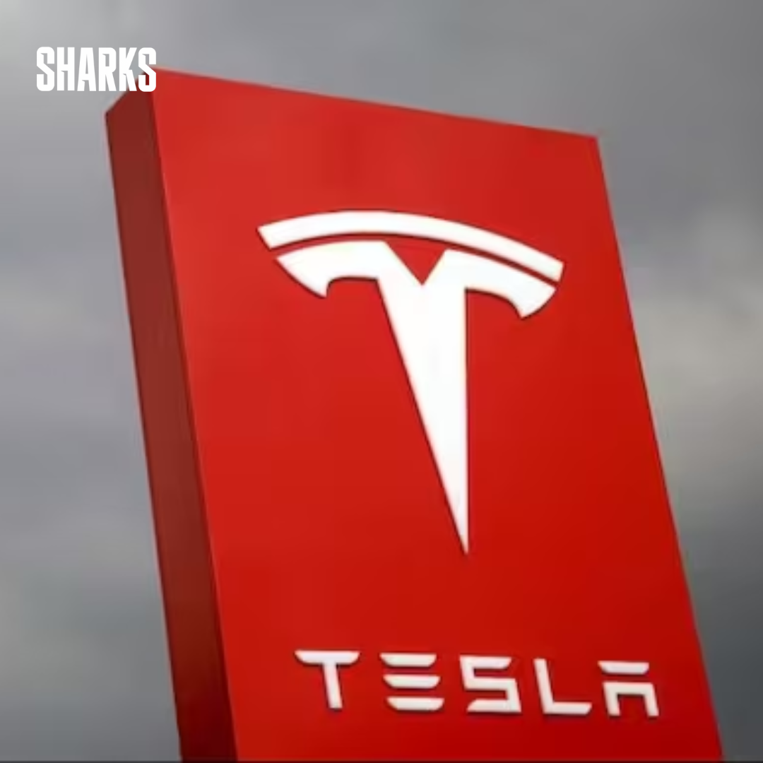 Elon Musk denies plans for bargain-priced Tesla - Sharks Magazine