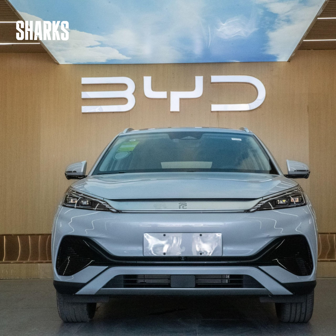Study Reveals Substantial Subsidies Propelling BYD in EV Market ...