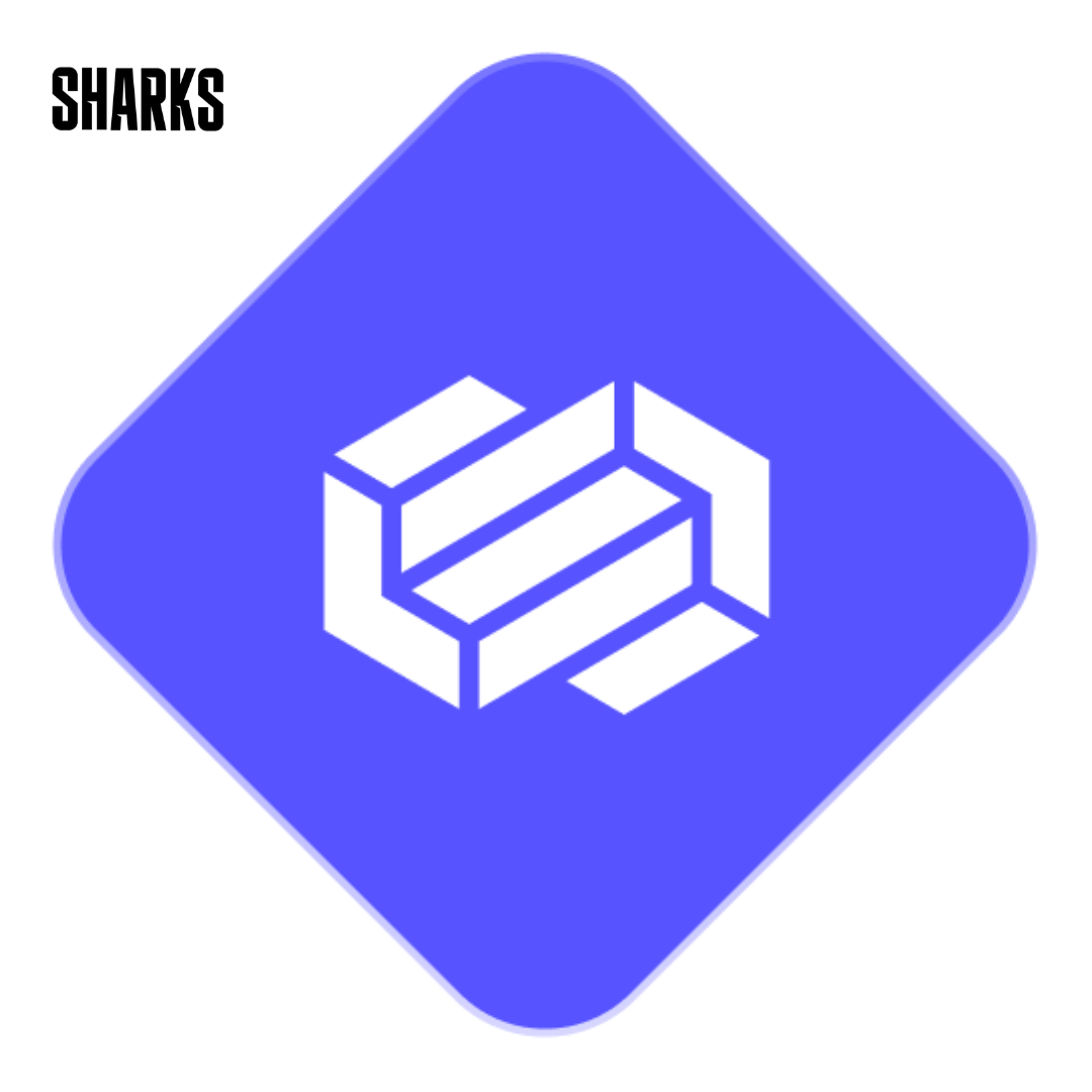 Decagon raises $35m to revolutionize customer support with AI - Sharks ...
